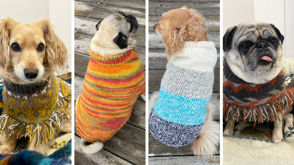 Artisan Alpaca Dog Fashion – Fancy Alpaca