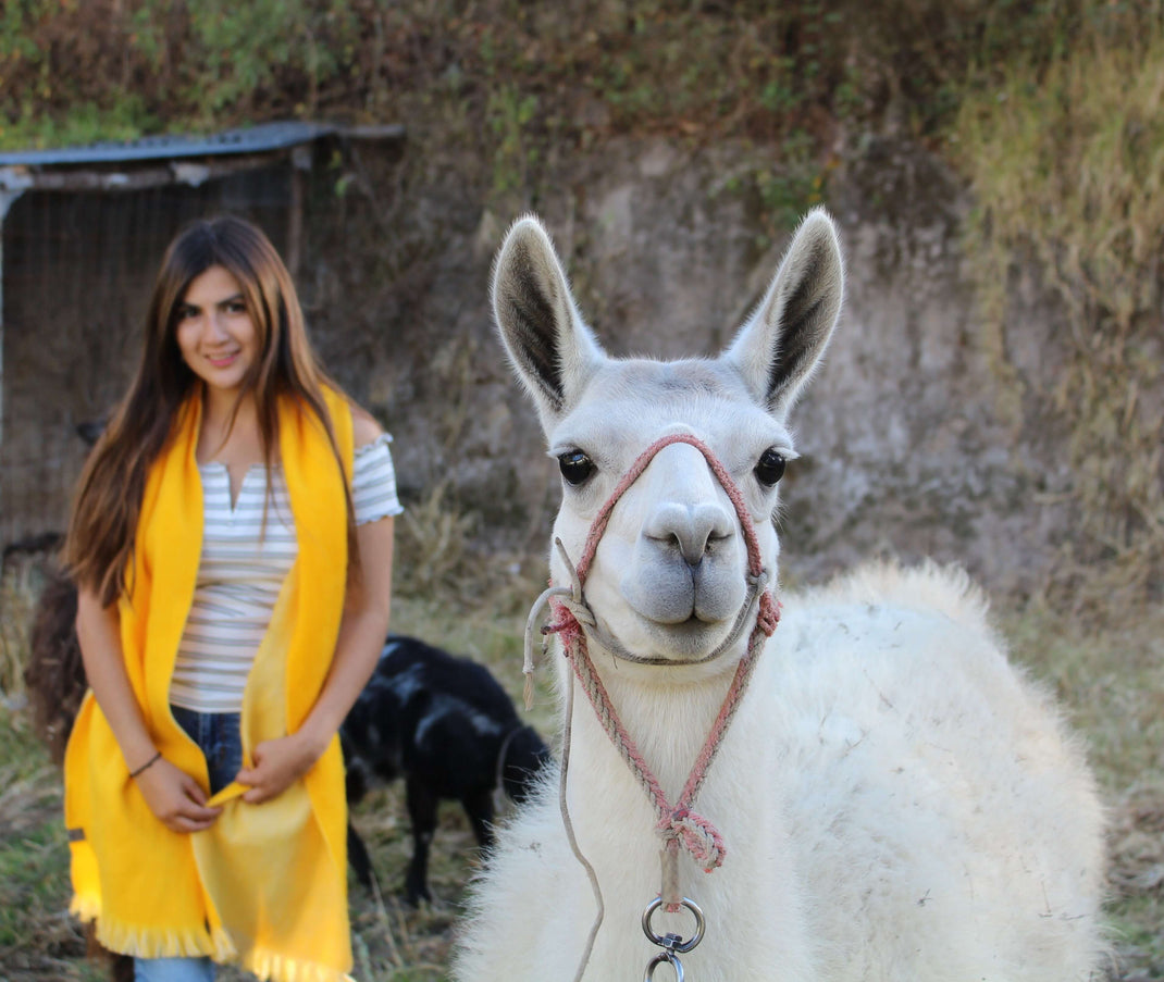 Fancy Alpaca Luxury Artisan Alpaca Wool Fashion And Decor